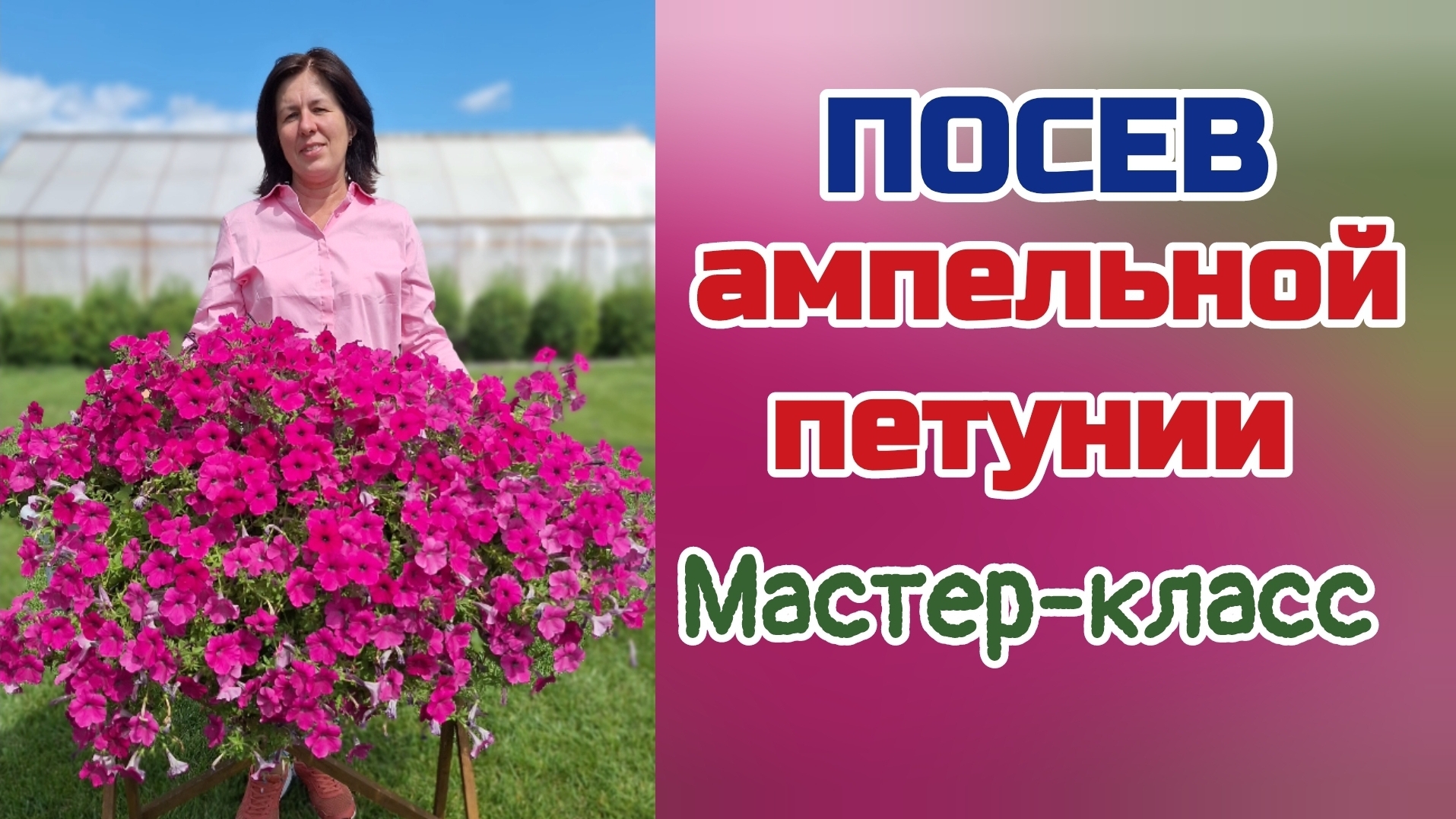 Мастер-класс по посеву АМПЕЛЬНОЙ ПЕТУНИИ