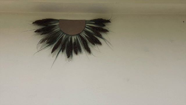 Жатва-оформление-24.09.24г.