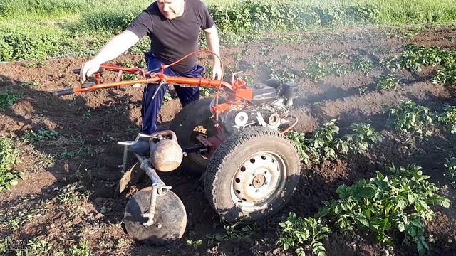 Окучиваем картофель дисковым окучником. Мотоблок Фаворит на Нивовских колесах R16