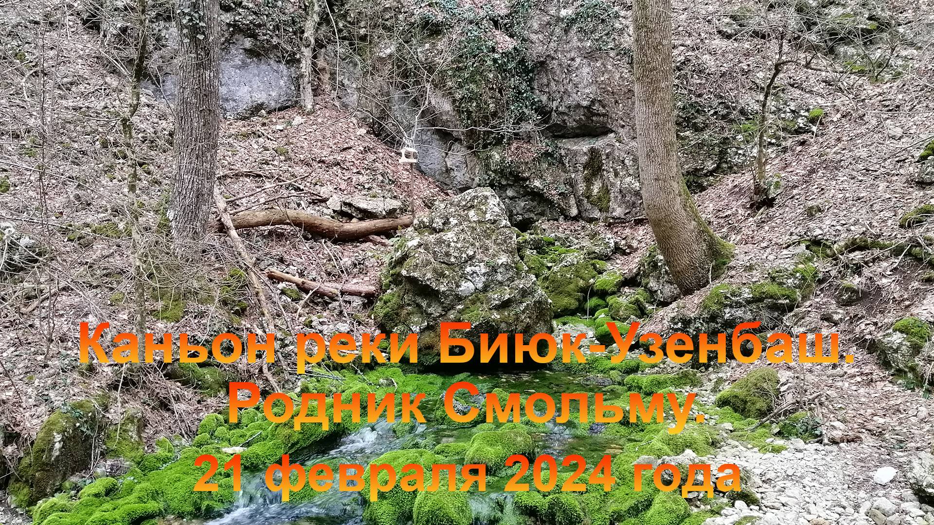 Каньон реки Биюк-Узенбаш. Родник Смольму (Крым, село Многоречье). 21 февраля 2024 года.