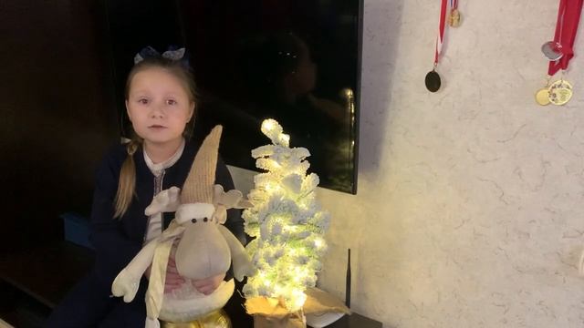 Новогоднее поздравление от Сони Васильевой.mp4
