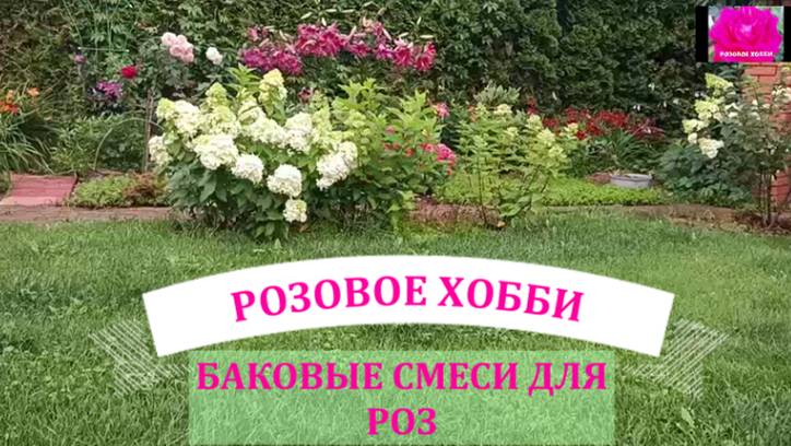 БАКОВЫЕ СМЕСИ ДЛЯ РОЗ ПОСЛЕ ПЕРВОГО ЦВЕТЕНИЯ. Начинающим