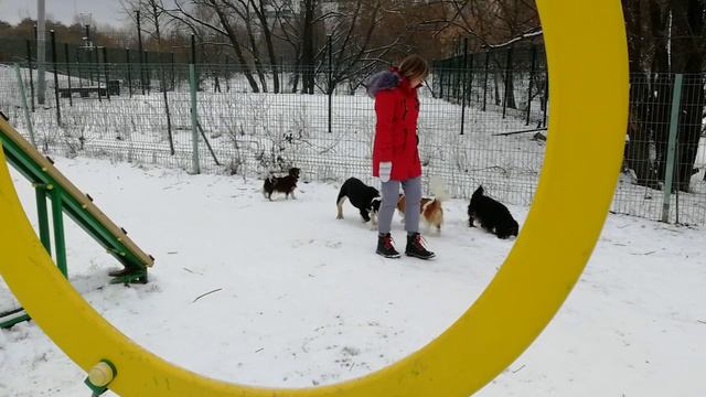 Все и Барси