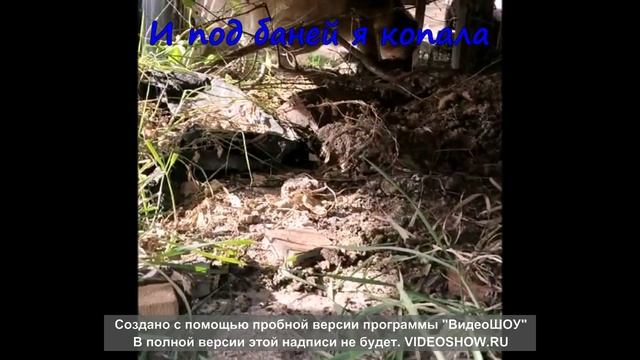 Собака готовится к родам