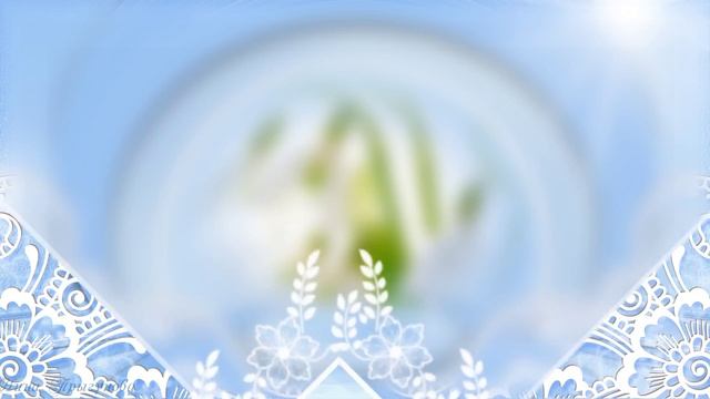 13 годовщина свадьбы - кружевная или ландышевая свадьба.mp4