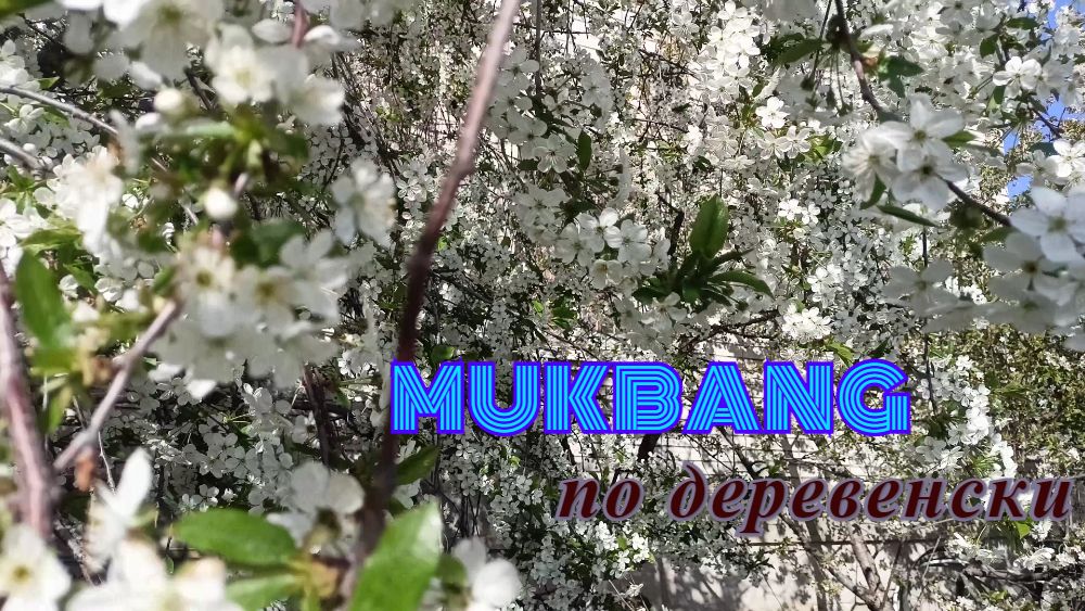 МУКБАНГ по деревенски / Отдых в деревне / Весна / Природа / MUKBANG / ASMR Влог