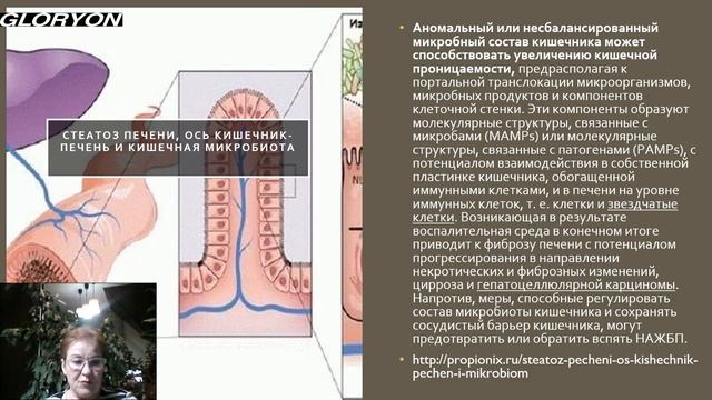 Часть 3. Печень и ЖКТ. Тема 3 Двусторонняя связь между печенью и ЖКТ.