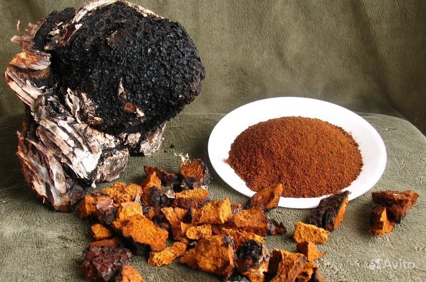 Берёзовая чага.Приготавливаю для заварки,настоек...