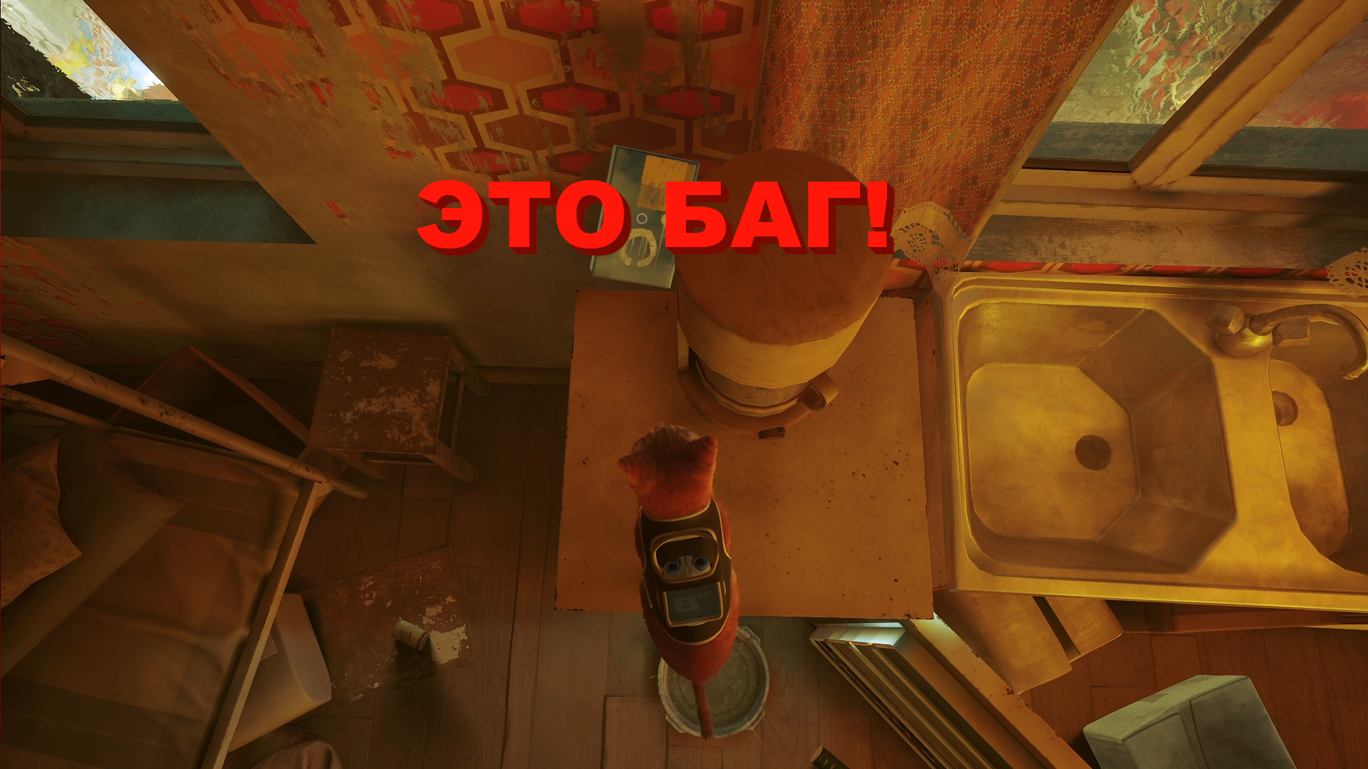 Баг с записной книжкой в Stray