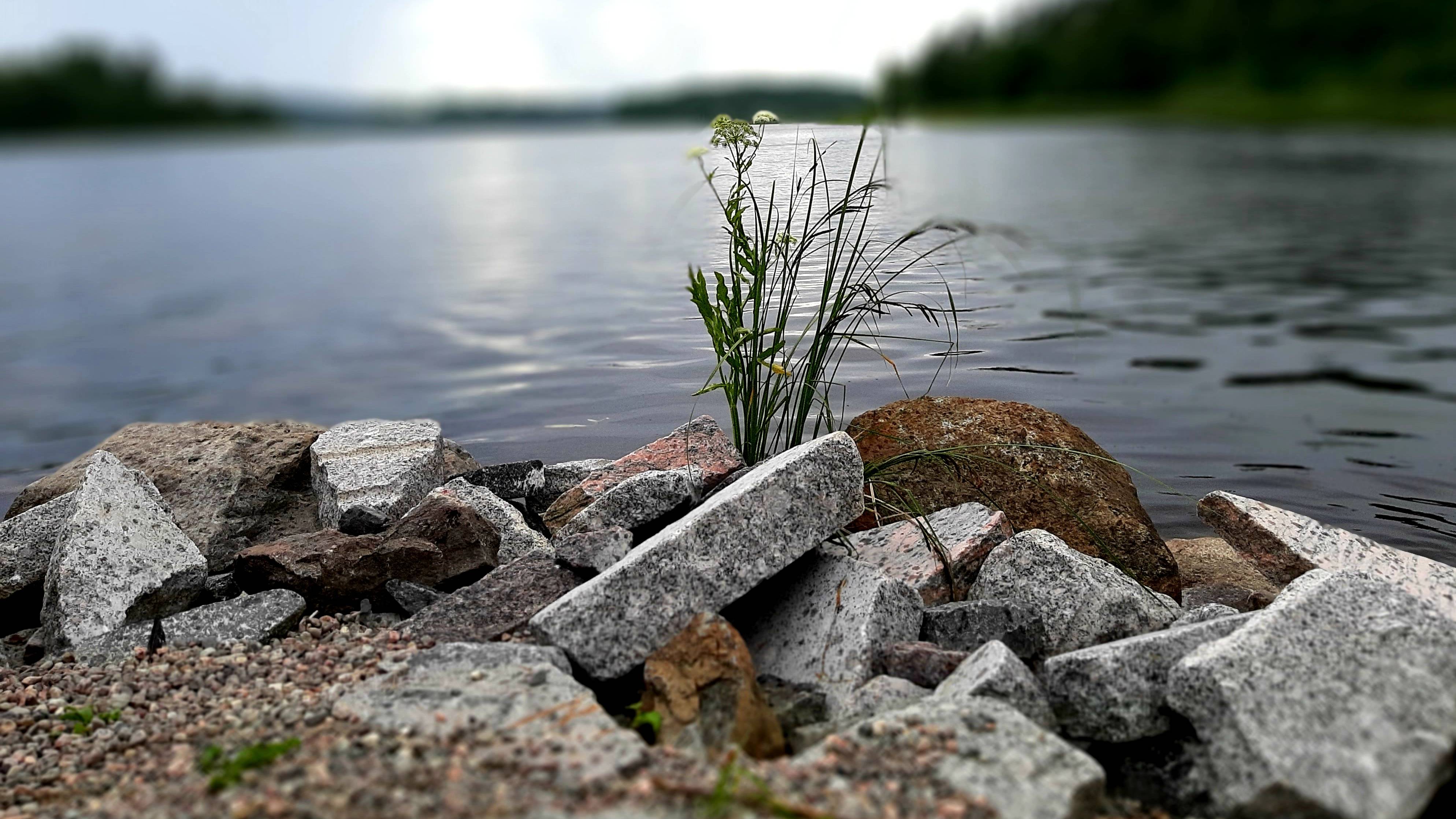 местный слип и причал