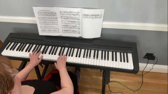 The Umbrellas of Cherbourg _ Шербурские Зонтики