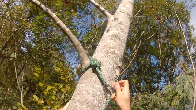 Как залезть на дерево без веток при помощи карабинных удавок