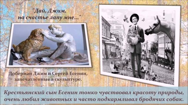 Литературный календарь.  Сергей Есенин 125.mp4