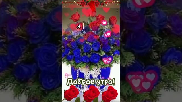 Доброе утро☀ ?⏰ ???