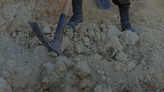 Поиск — новые знания