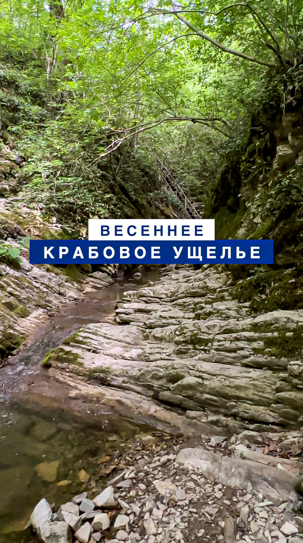 Крабовое ущелье