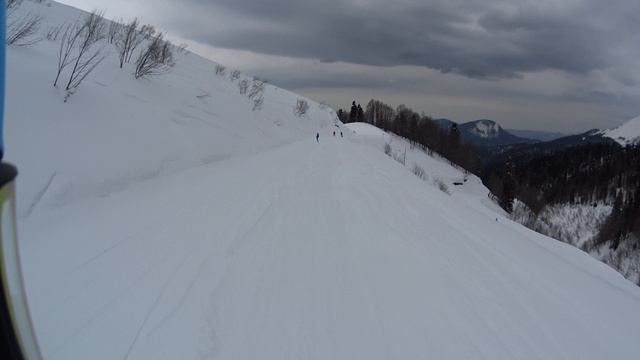 2019-03-12 Роза Хутор. Явор - Примула