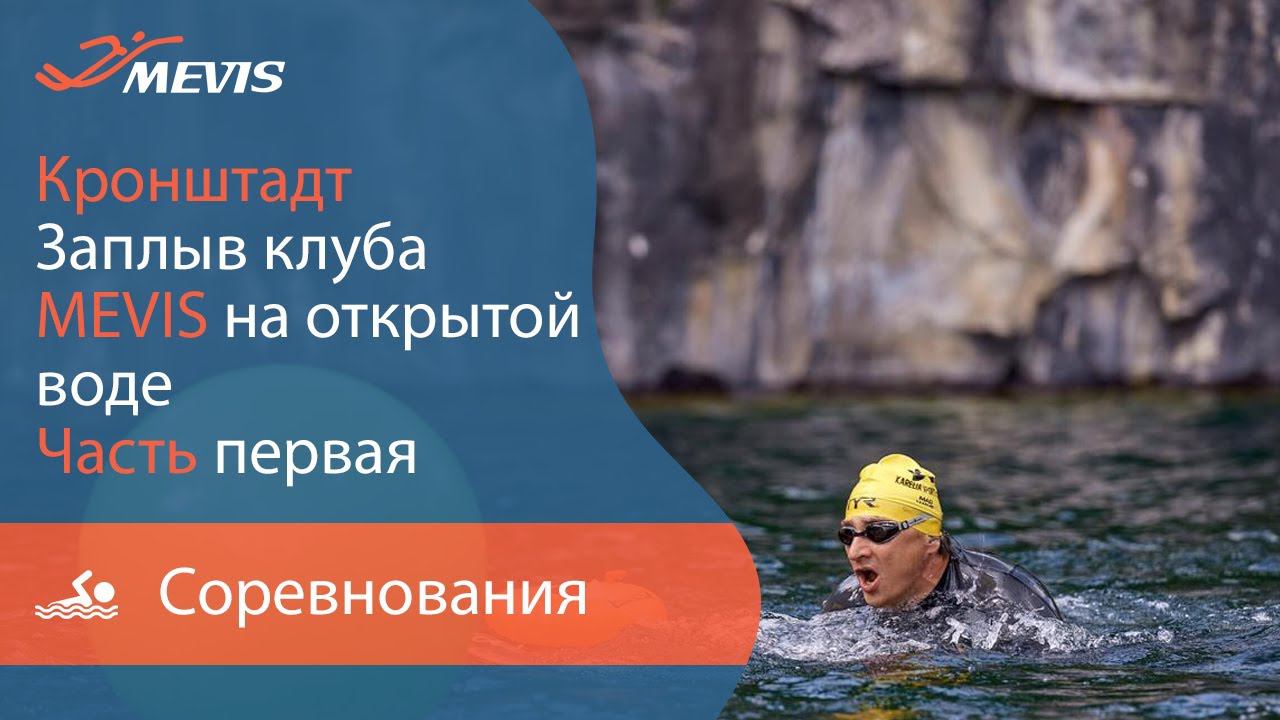 Кронштадт 2010, MEVIS (Часть 1)