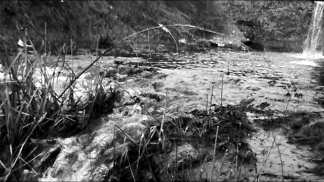 Metallic metal(Парк Культуры)-Последняя Весна Blackmetal