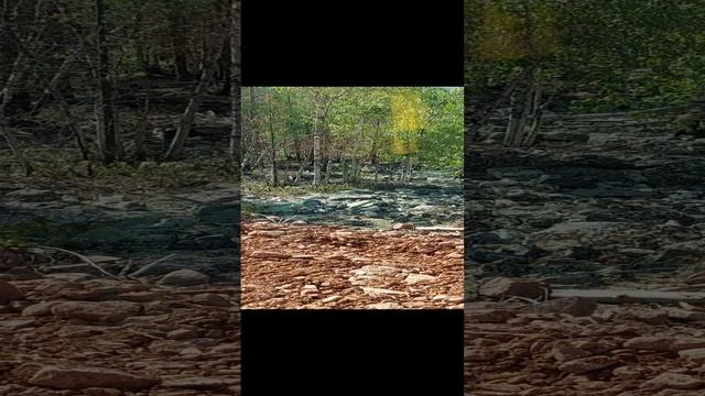 "КОСОЛАПЫЙ" ПАСУЕТ ПЕРЕД KOMATSU 375 - "CLUBFOOT" PASSES IN FRONT OF KOMATSU 375 ?