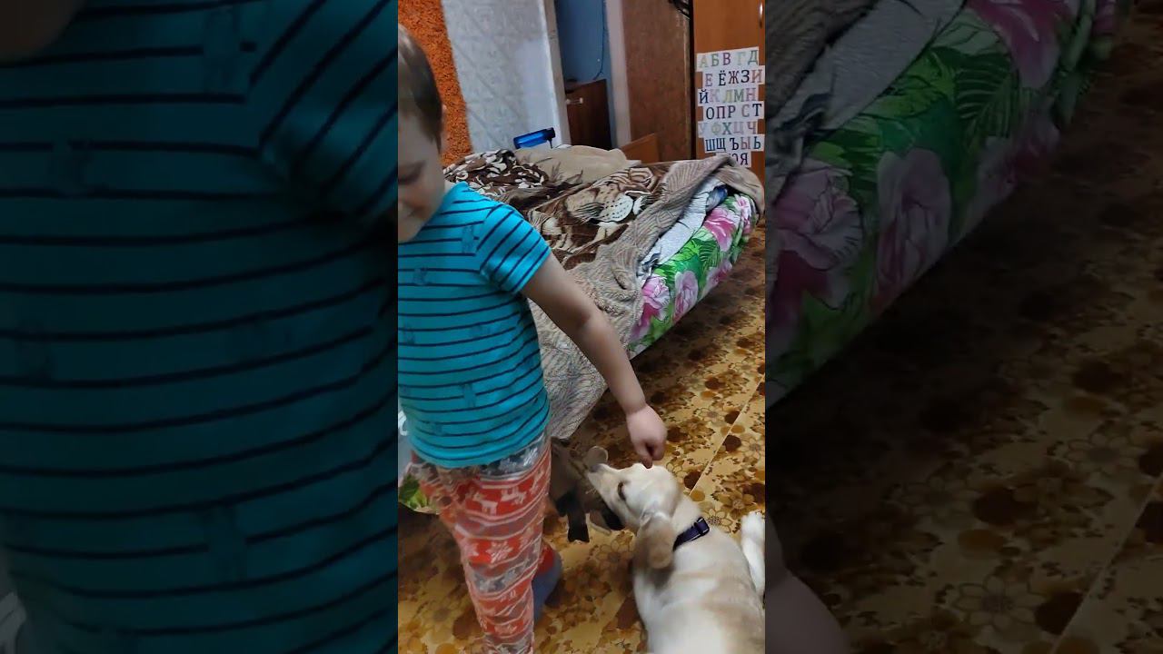 Осень 2022 Лёва и Юта