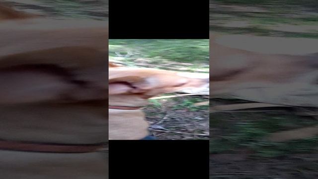 Грибные места