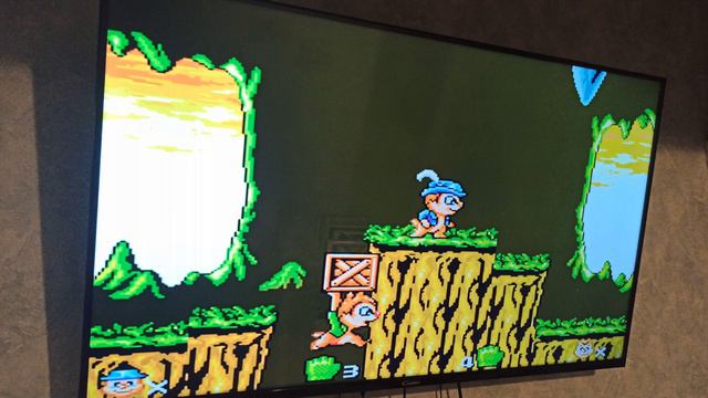 Прохождение Squrril king на Sega Mega Drive (Чип и Дейл - Сега)