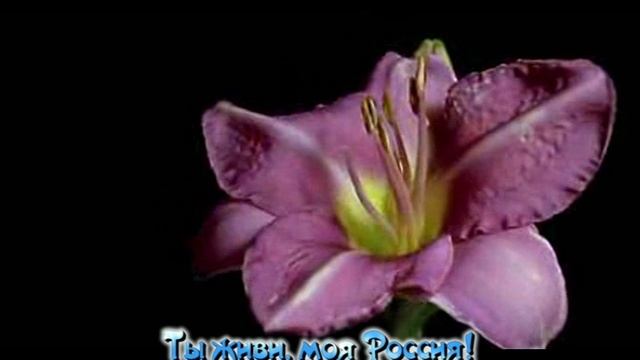 Ты живи моя Россия+