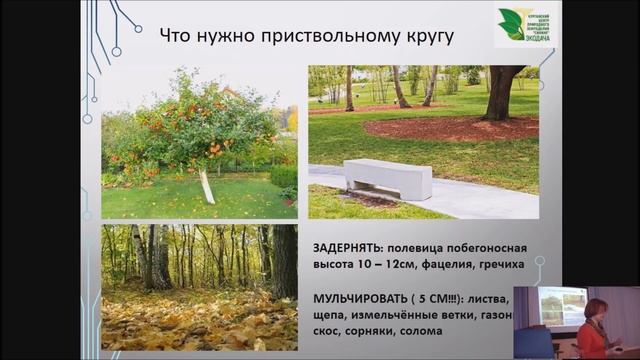 Как вырастить ЭКОСАД