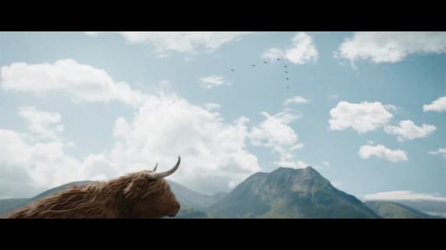 Бык - байкер - Virgin MediaHighland Rider - реклама телеком оператора Virgin UK