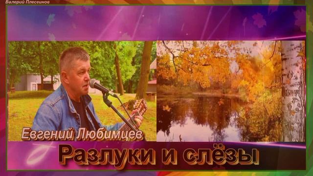 Евгений Любимцев - Разлуки и слёзы