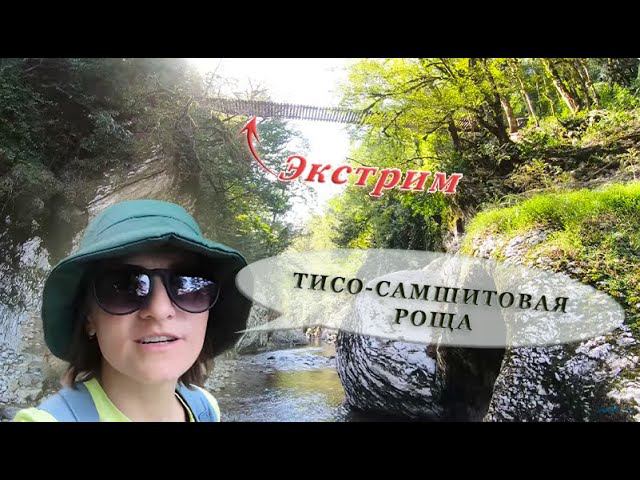 Куда СХОДИТЬ В СОЧИ? Невероятная природа и бирюзовая река Хоста. Тисо-самшитовая роща.Пеший маршрут.