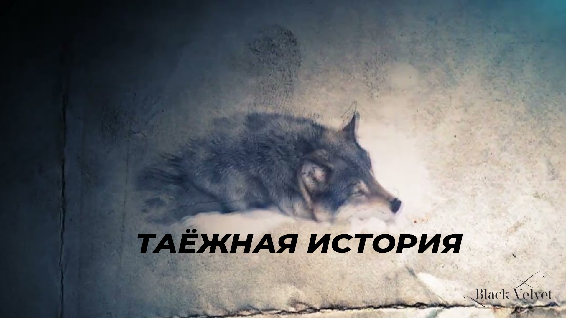 Таёжная история | Читает автор: Владимир Гал