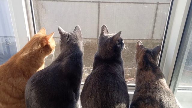 Солнечное апрельское утро.