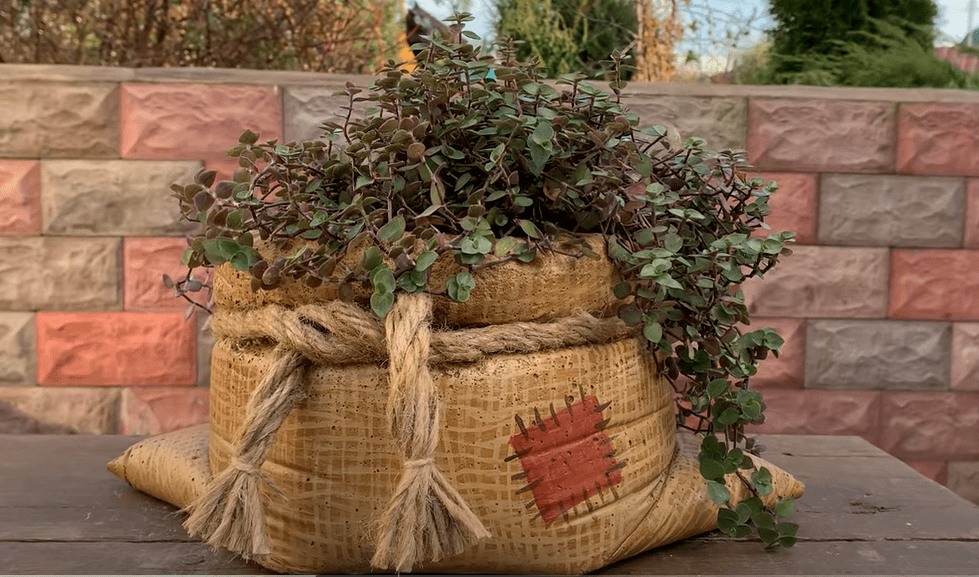 КАК ИЗ ПАКЕТА И ЦЕМЕНТА СДЕЛАТЬ КРАСИВОЕ КАШПО ДЛЯ ЦВЕТОВ