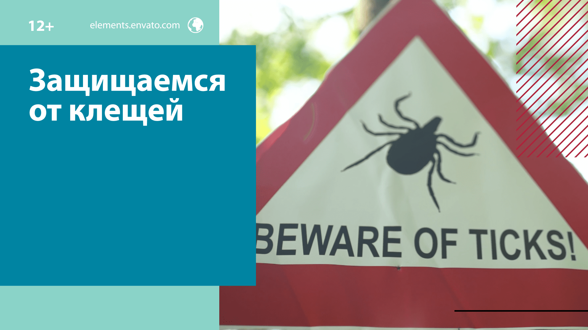 Как защититься от укусов клещей? — МоскваFM