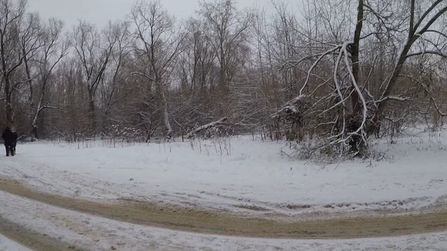 Будни домохозяйки 12.01.24