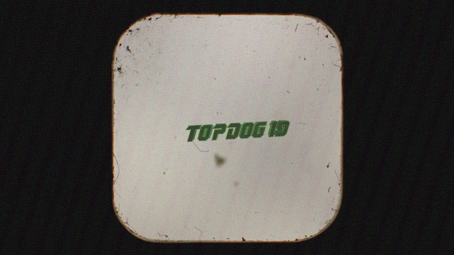 TOPDOG 19