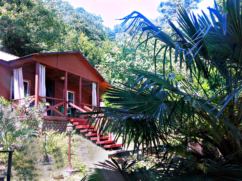 Гостиницы в Сочи рядом с морем. Отдых в Сочи с детьми. "Домик у моря" гостевой дом  в Сочи