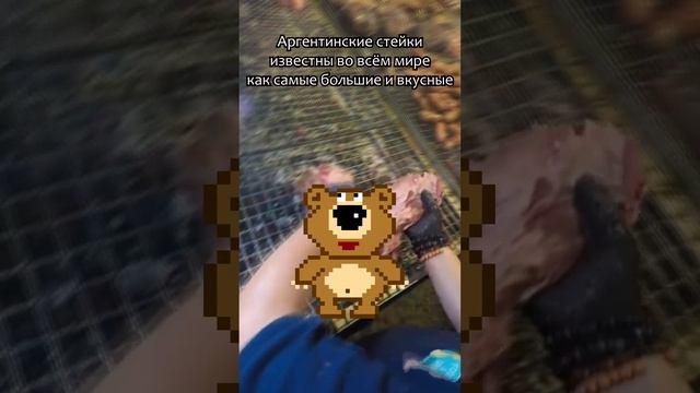 Мишка и стейки