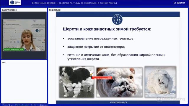 Вебинар "Витаминные добавки и средства по уходу за животными, актуальные в зимний период"