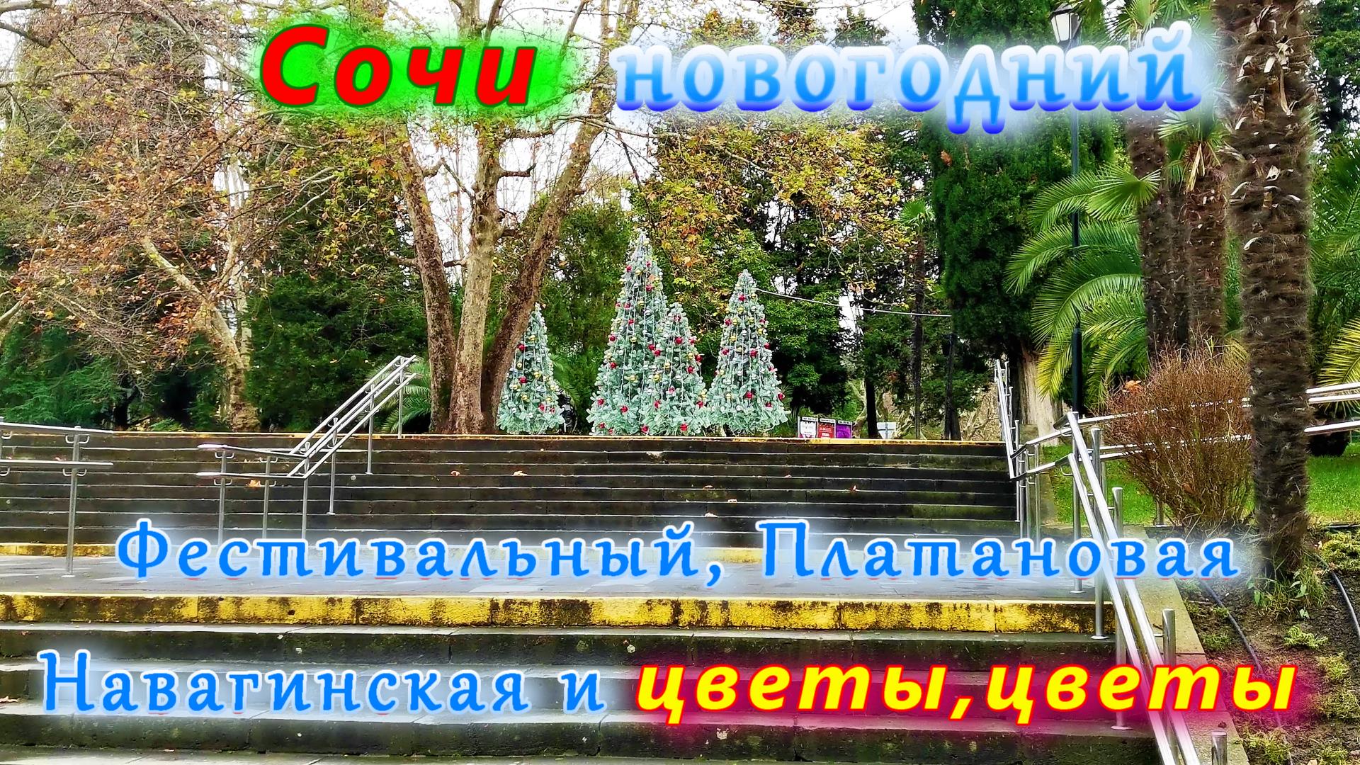 Новогодний Сочи 2022/ Фестивальный, Платановая, Навагинская и цветы, цветы, цветы