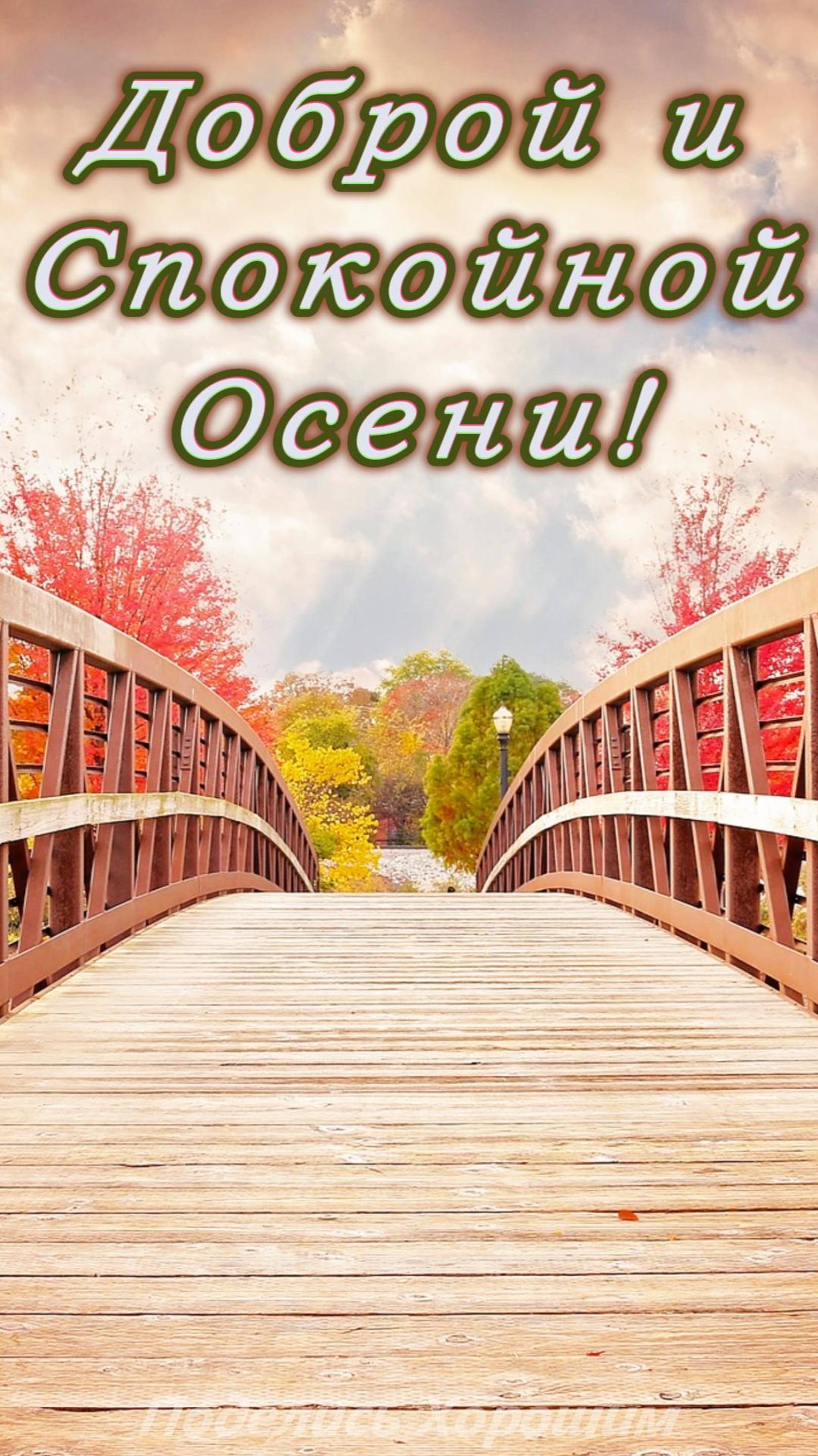 Доброй и Спокойной Осени!