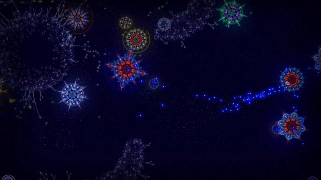 Microcosmum. Mutations 49-50.