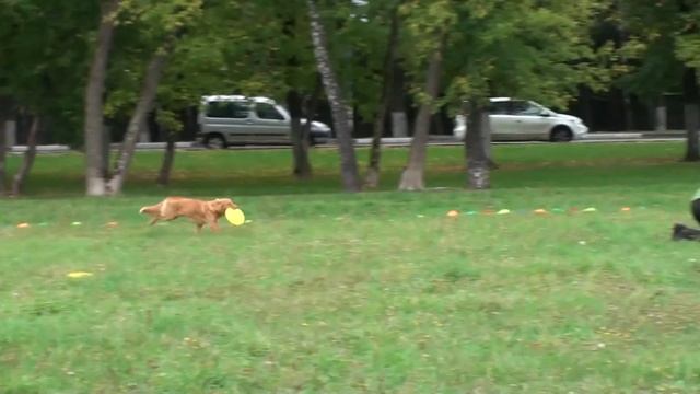 Чемпионат России Фристайл Алия и Ирвин.mp4