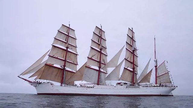 02.08.2020 "Седов". Дневник кругосветки. Киты в Японском море