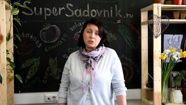 Как лечить садовые многолетники и декоративные кустарники от мучнистой росы