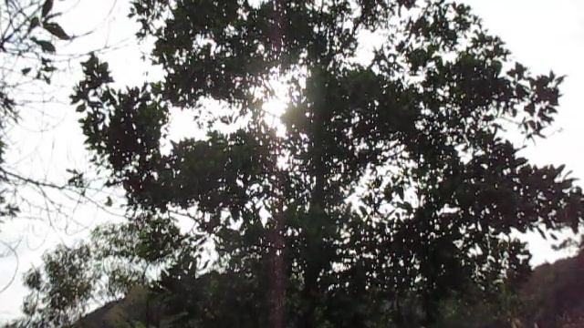 Видео с горы над курором Чамлун (3)