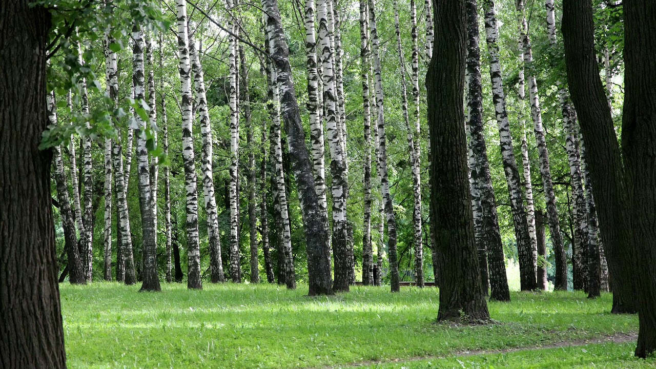 Славяне | Часть 1