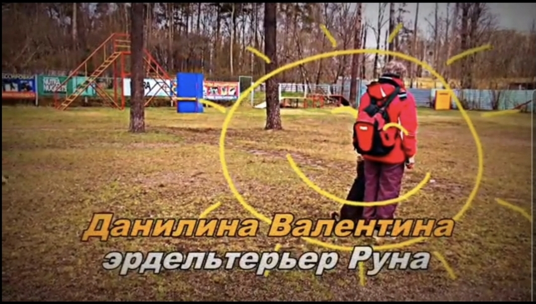 Руна - эрдельтерьер